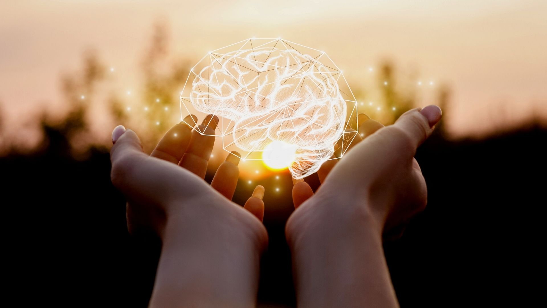 The Biggest Brain Myths - Brain Myth #1