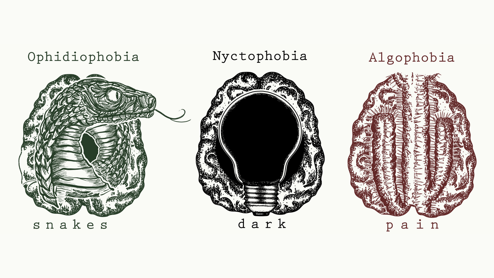 WHY THE MEMORY OF FEAR IS SEARED INTO OUR BRAINS - NeuroGym Blog